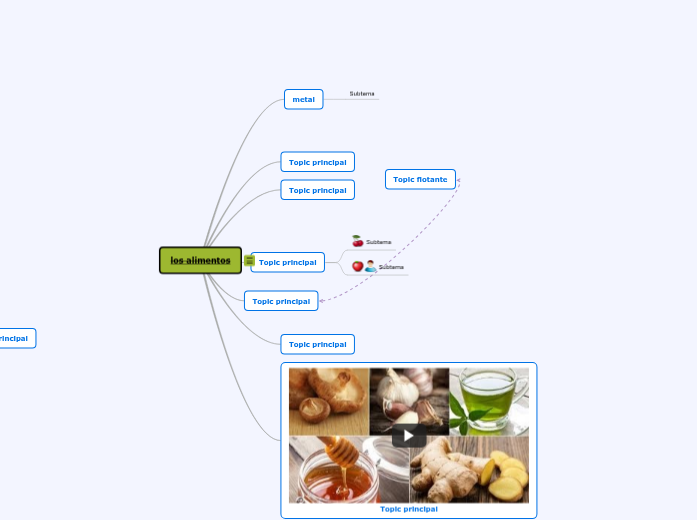 tipos de alimentos para el consumo diario - Mind Map